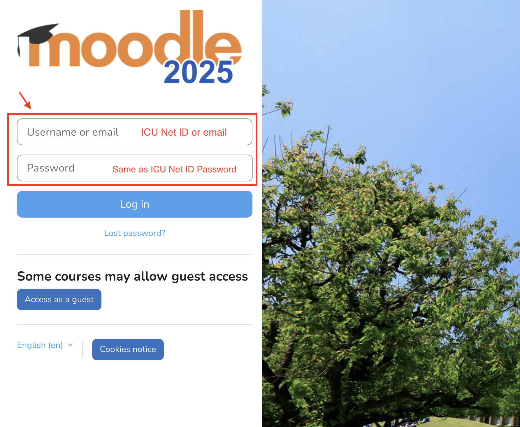 Moodle 2025: To get started ICU Moodle (How to log-in) | Moodle 2025
